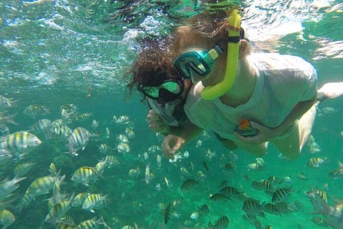 Speed Boat and Snorkeling in Punta Cana Bavaro - The Practicalities: Transportation, Duration, and Cost