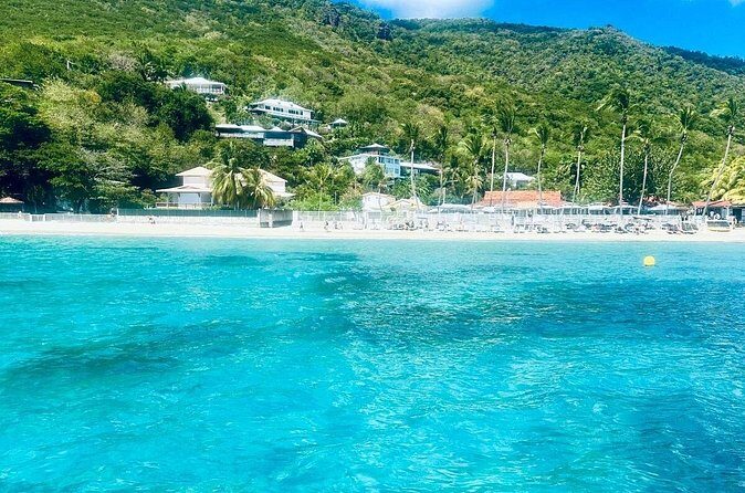 Speed Boat Dolphins and Turtles Full Day - Who Should Consider This Tour?