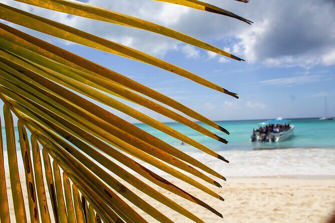 Speed Boat Ride to Punta Cana - The Experience in Detail