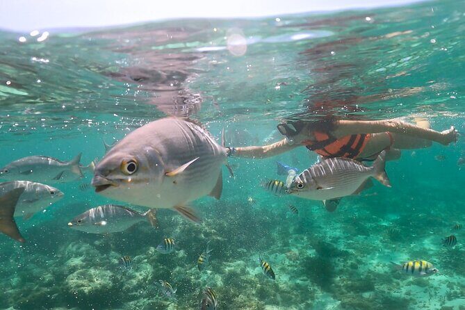 Speed Boat Snorkeling in Cancun with Mayan Ceremony and Tasting - A Closer Look at the Experience