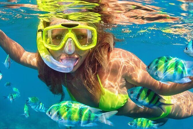 Speed Boat with Snorkeling Adventure of Cancun - Introduction: What’s on Offer