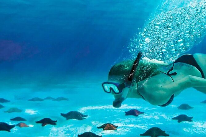 Speed Boat with Snorkeling Adventure of Cancun - The Sum Up: Is It Worth It?