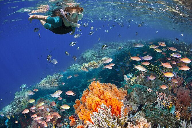 Speed Boat with Snorkeling Adventure of Cancun - FAQ: Your Quick Questions Answered