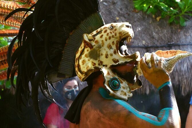 Speed of the Mayan Jungle - FAQs