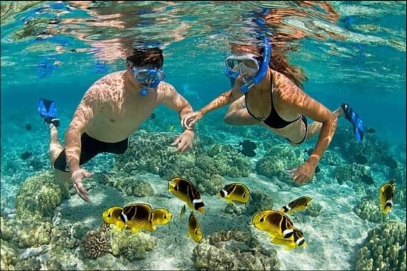 Speedboat Adventure and Snorkeling from Punta Cana - Key Points