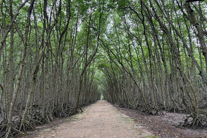 Speedboat Adventure: Can Gio Mangrove, Monkey Island & Crocodiles - The Sum Up