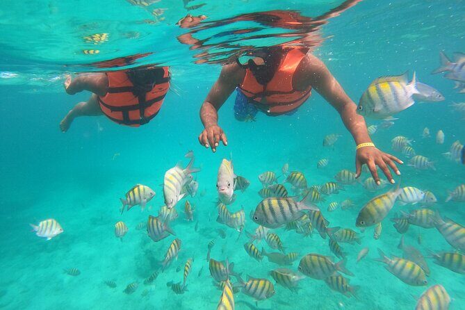 Speedboat Adventure to Snorkeling Spot and Natural Pool - The Sum Up: Who Benefits Most?