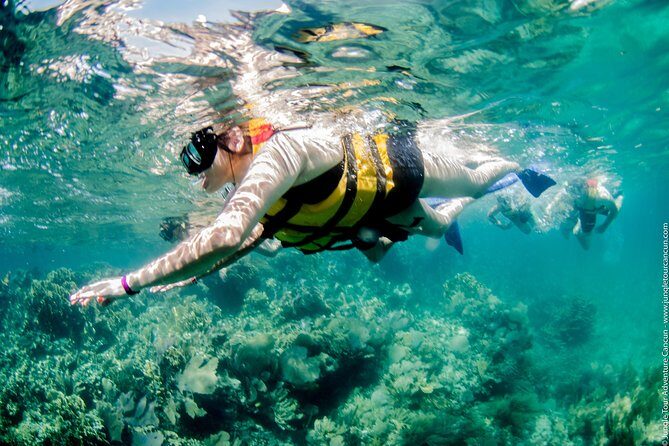Speedboat and snorkel tour: Single Passenger Boat - Who Will Love This Tour?