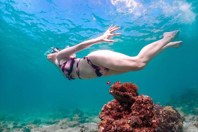 Speedboat Tour From Pattaya to Koh Larn Coral & Sak Island - The Sum Up: Who Is This Tour Best For?