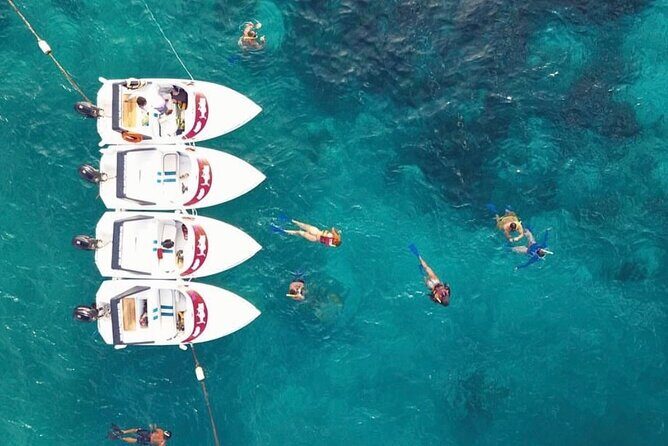 Speedboat tour Snorkeling and Transportation for One Price - Key Points