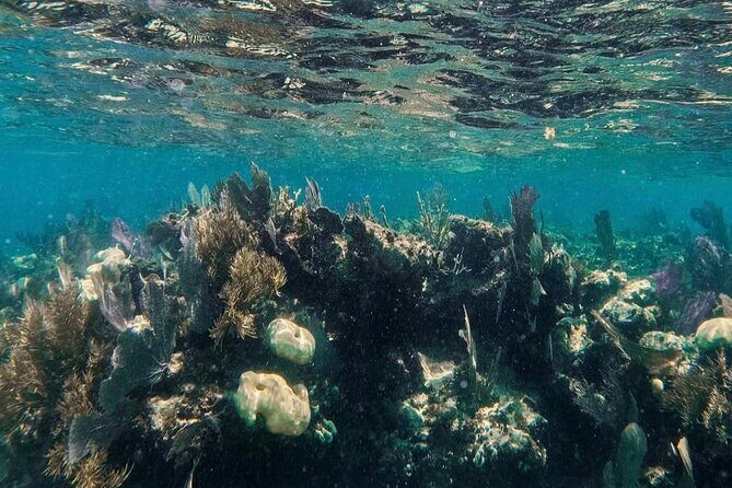 Speedboat tour Snorkeling and Transportation for One Price - An In-Depth Look at the Tour Itinerary