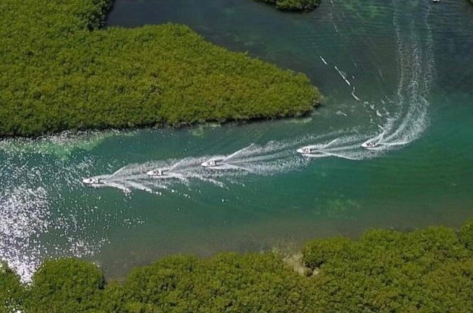 Speedboat tour Snorkeling and Transportation for One Price - The Experience Provider: Best Cancun Adventures