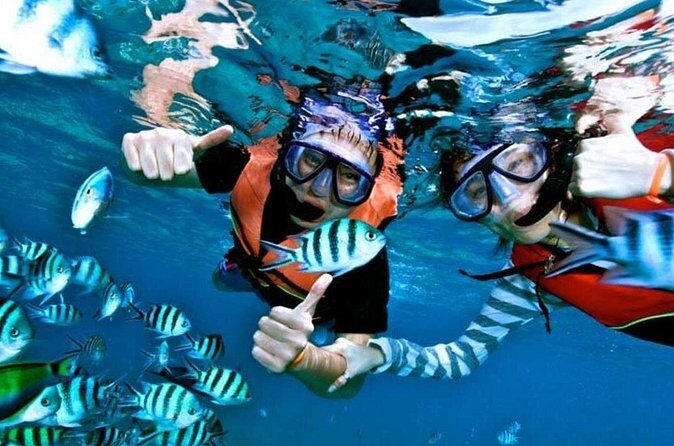 Speedboat Tour to Koh Tao and Koh Nang Yuan, with Snorkeling and Lunch - The Sum Up: Is This Tour Worth It?