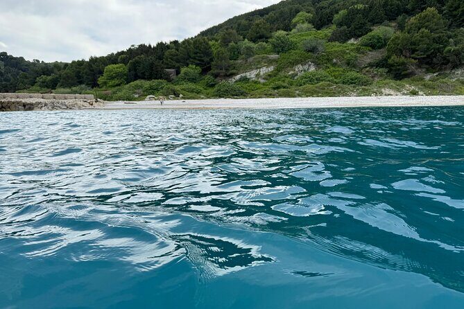 Speedboat Tour to Sazan Island, Haxhi Ali Cave and Marine Park - Authentic Traveler Feedback