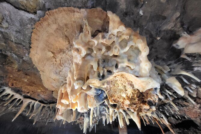 Speleology, Exploration inside a secret cave - Authentic Experiences and Real Traveler Insights