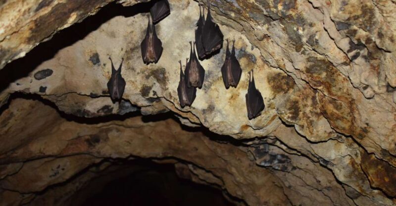 Speleology in the Arouca Geopark´s Tungsten Mines - Exploring the Hidden Depths of Portugal: Speleology in Arouca Geopark’s Tungsten Mines