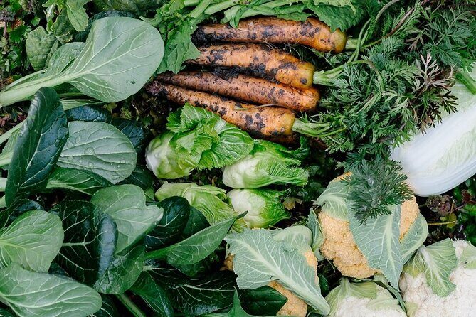 Spend Special Time Enjoying Local Food in Zentsuji, Kagawa - Exploring the Flavors and Spirit of Zentsuji, Kagawa