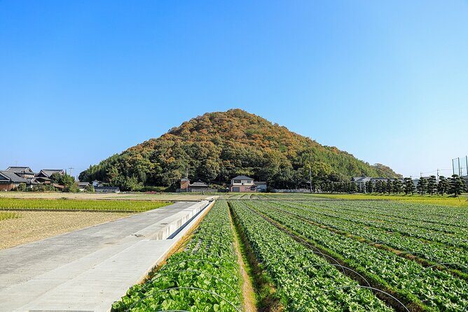Spend Special Time Enjoying Local Food in Zentsuji, Kagawa - An Authentic Taste of Zentsuji’s Culinary and Cultural Heritage