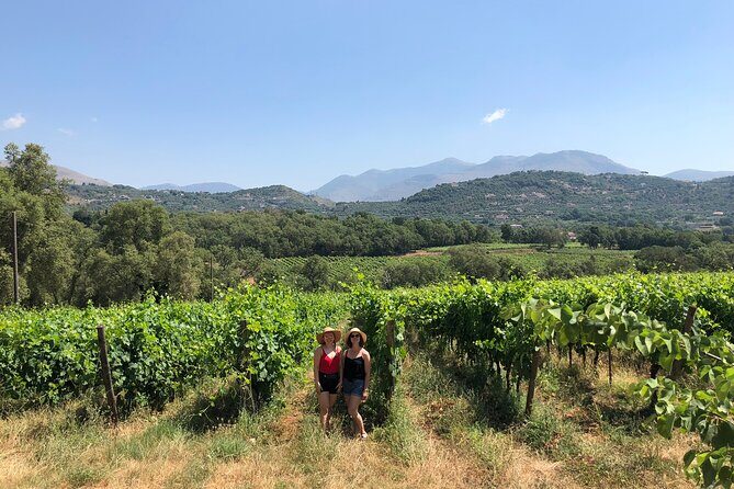 Sperlonga Experience and Wine Tasting Tour - Final Thoughts: Who Is This Tour For?