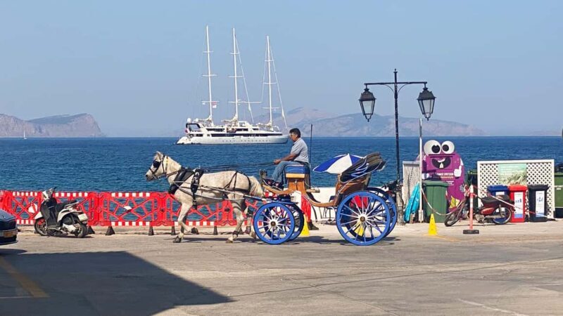 Spetses Island: Full Day Trip from Athens with Swimming - Arriving in Spetses: The Private Sea Taxi Experience