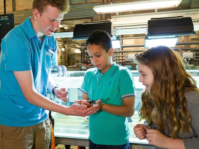 Speyer: SEA LIFE Behind the Scenes Tour - Key Points