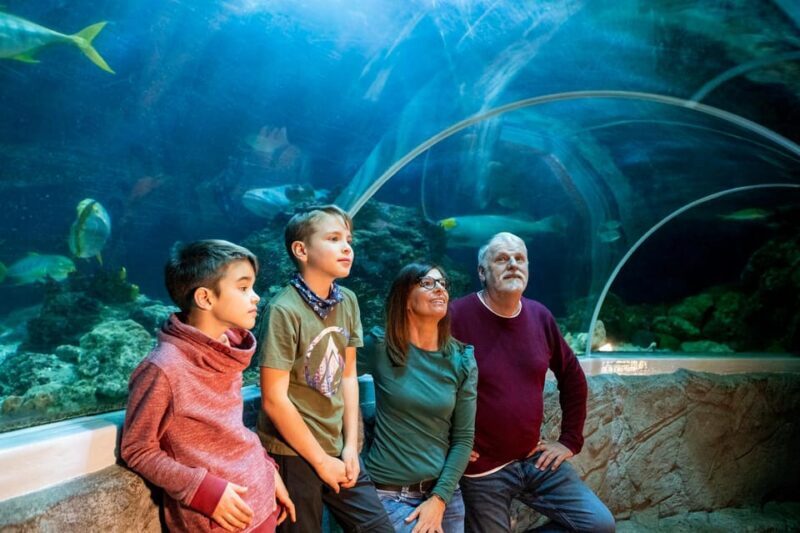 Speyer: SEA LIFE Behind the Scenes Tour - FAQ