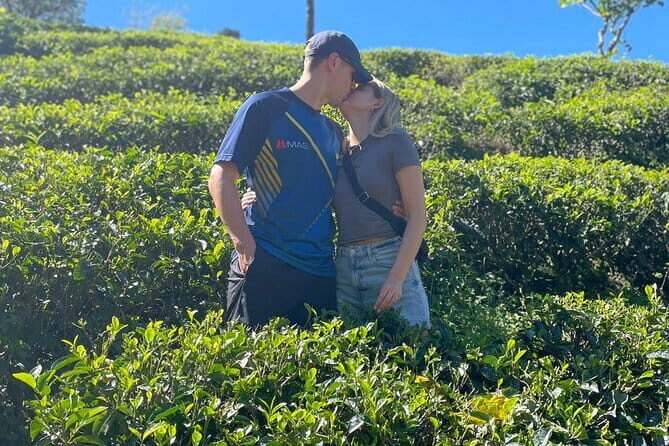 Spice Garden & Tea Factory Group Shore Excursion - The Experience You Can Expect