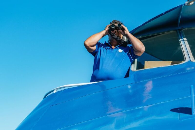 Spirit of Gold Coast 2.5-Hour Whale Watching Tour - Insight from Reviews