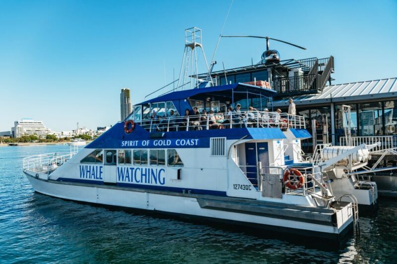 Spirit of Gold Coast 2.5-Hour Whale Watching Tour - Who Will Love This Tour?