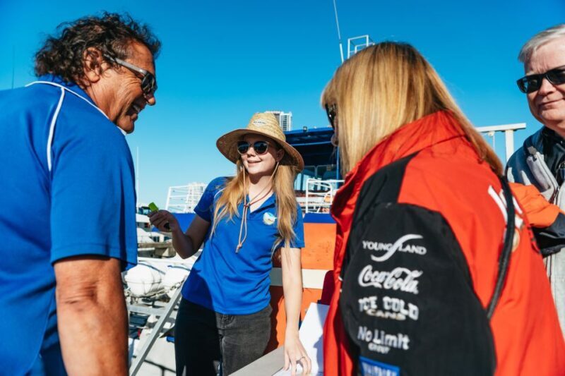 Spirit of Gold Coast 2.5-Hour Whale Watching Tour - The Sum Up
