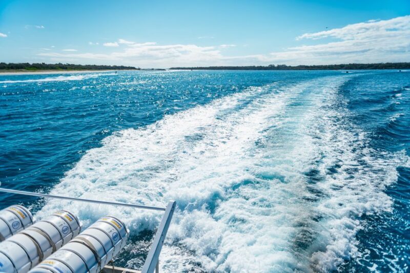 Spirit of Gold Coast 2.5-Hour Whale Watching Tour - FAQ
