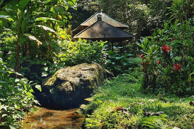 Spiritual Bali for Late Risers - Purification & Waterfall - What Makes This Tour Stand Out