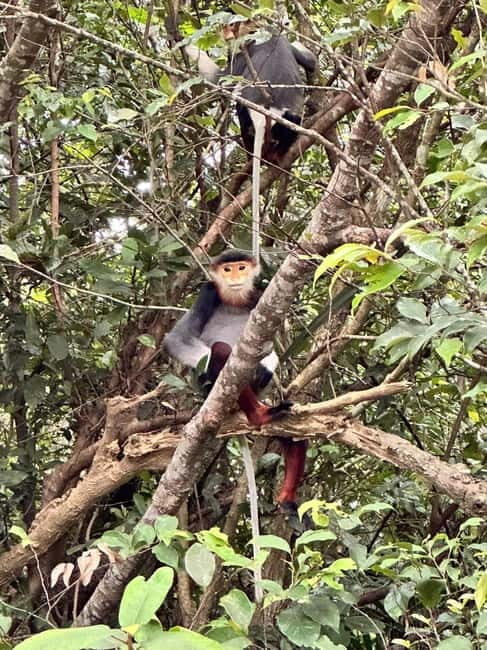Spiritual Journey in Da Nang: Linh Ung & Marble Mountains - Key Points