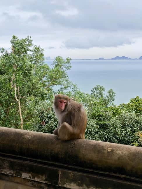 Spiritual Journey in Da Nang: Linh Ung & Marble Mountains - The Value of the Experience