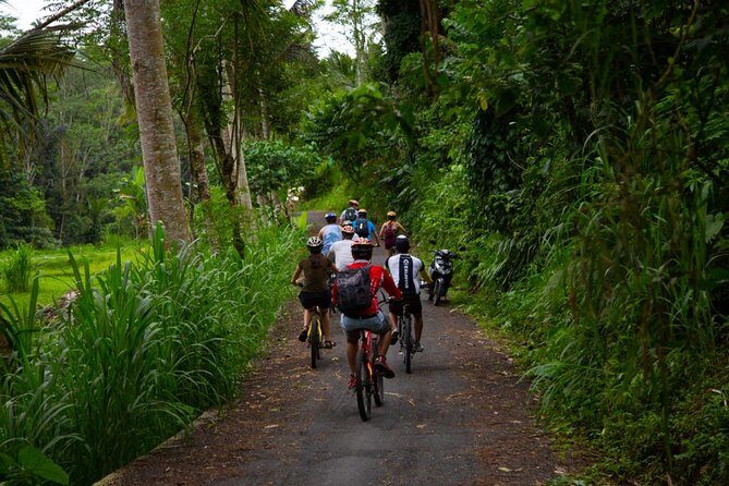 Spiritual Journey with private purification ceremony, local priest - Ubud - Key Points