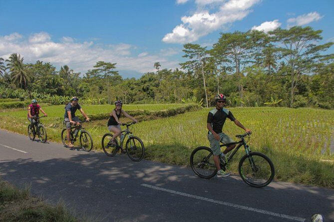 Spiritual Journey with private purification ceremony, local priest - Ubud - Who Would Love This Tour?