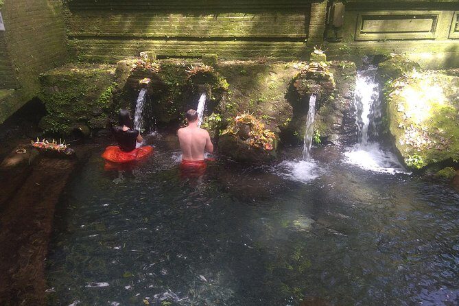 Spiritual Journey with private purification ceremony, local priest - Ubud - The Sum Up: A Deep Dive into Bali’s Spirit