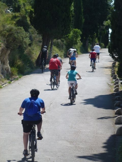 Split 3-Hour Guided Bike Tour - Key Points