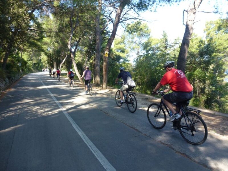 Split 3-Hour Guided Bike Tour - The Sum Up: Who Is This Tour For?