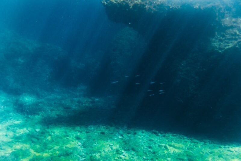 Split: 45-minute Semi-Submersible Submarine Trip - Practical Tips for Visitors