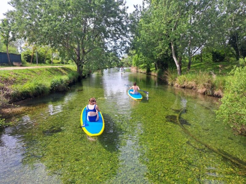 Split: Adriatic Sea and River Stand-Up Paddleboard Tour - The Sum Up