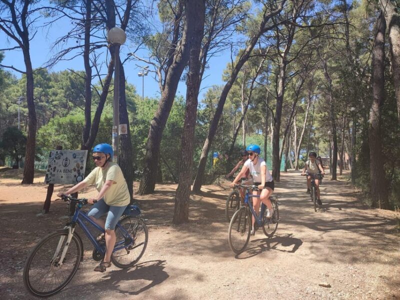 Split Bike & Wine Experience - What Sets This Tour Apart?