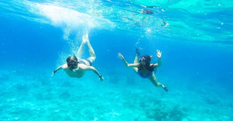 Split: Blue Lagoon, Hvar and 5 Islands Small Group Boat Tour - Key Points