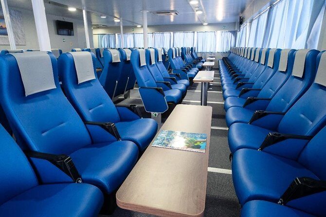 Split Cruise To Bimini & Free Transportation! - Key Points