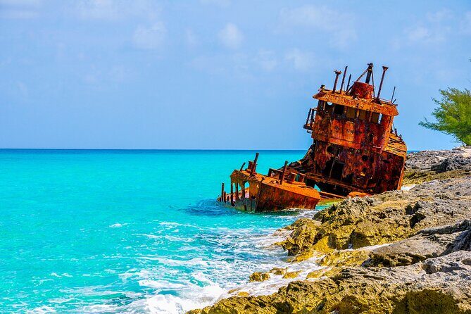 Split Cruise To Bimini & Free Transportation! - Experience and Comfort