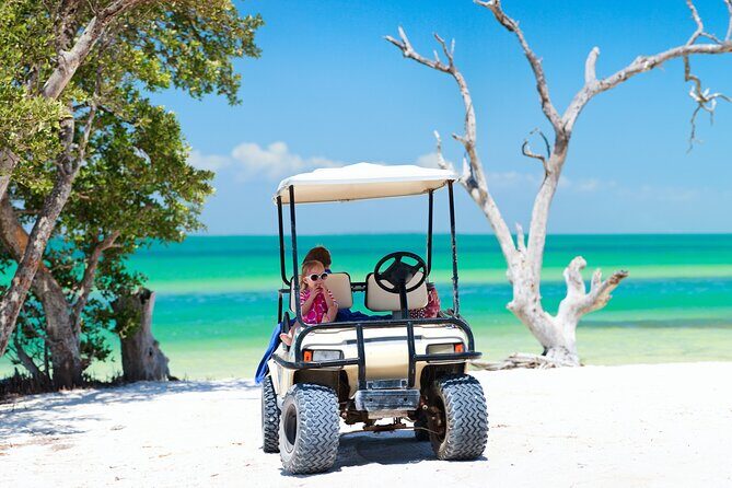 Split Cruise To Bimini & Free Transportation! - Price and Value