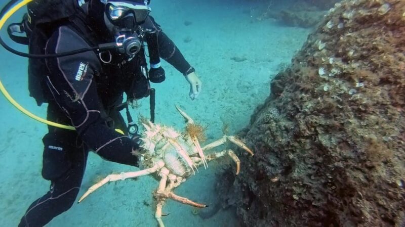 Split-Makarska-Brela Try SCUBA Dive - Key Points