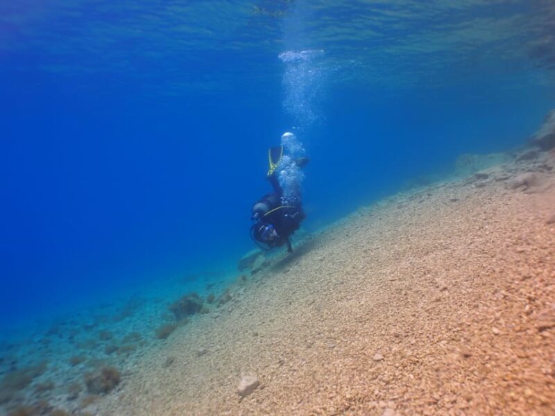 Split-Makarska-Brela Try SCUBA Dive - An In-Depth Look at the Experience