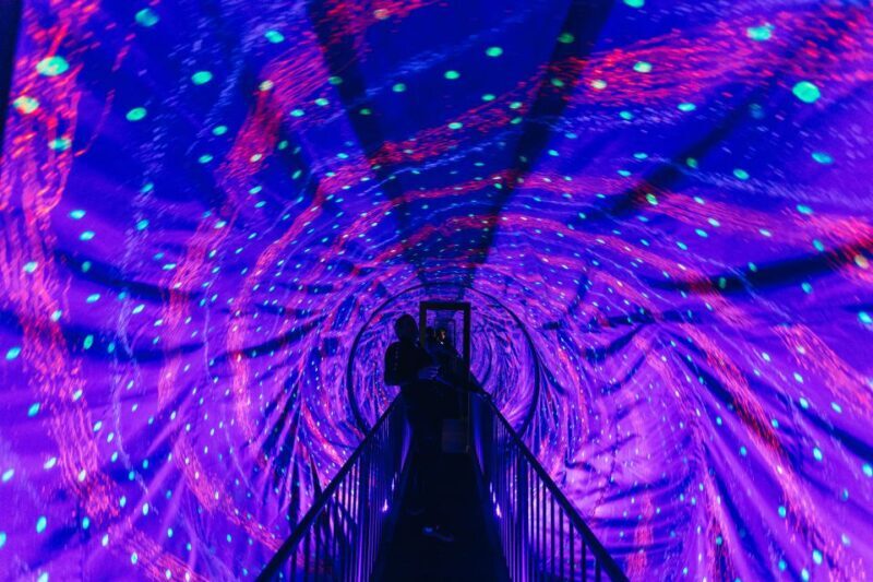 Split: Museum of Illusions Entrance Ticket - Interactive Playrooms and Puzzles