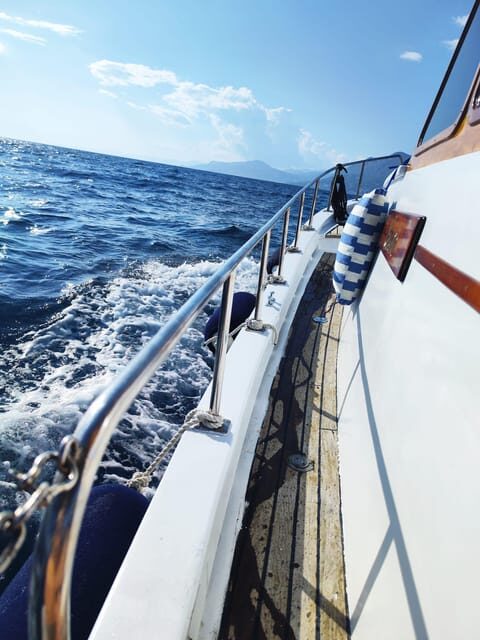 Split/Omi/Makarska: Full or half day boat tour with "Cvita" - Who Will Love This Tour?